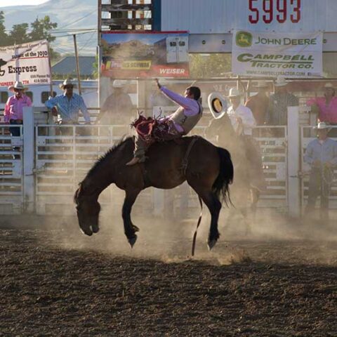 Rusty's Saloon & Grill | Western Dining & Rodeo Fun in St. Anthony, ND
